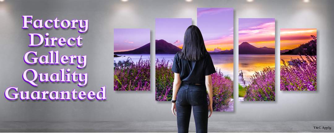 CANVAS and SIGN - Landing Page | Home